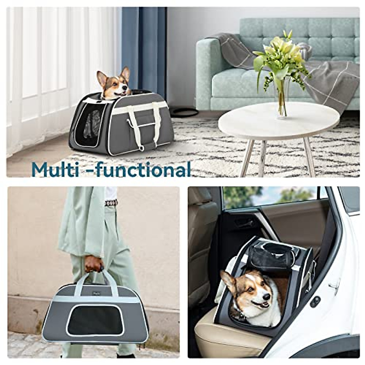 Petsfit Pet Carrier with Removable Wheels