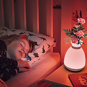 Flymuda Baby Night Light, Flower Vase Style Kids Night Light, Dimmable White & RGB Changing Colors Night Light Lamp for Kids, Bedroom, Kitchen, Living Room, Office, Restaurant, Ideal Christmas Gift