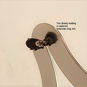 Tick Buddy (1-Pack) Stainless Steel Tick Removal Tool for Dogs Cats Pets and People