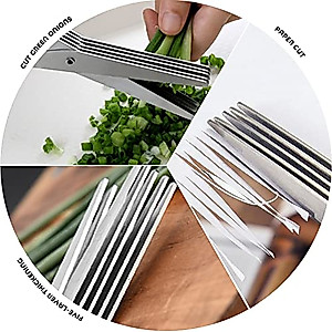 Herb Scissors with 5 Blades and Cover, Herb Stripper Tool Kit, Vegetables Potato Fruits Peeler, 3 Stainless Kitchen Gadget Set Cutter Chopper with Cleaning Combs, Graters