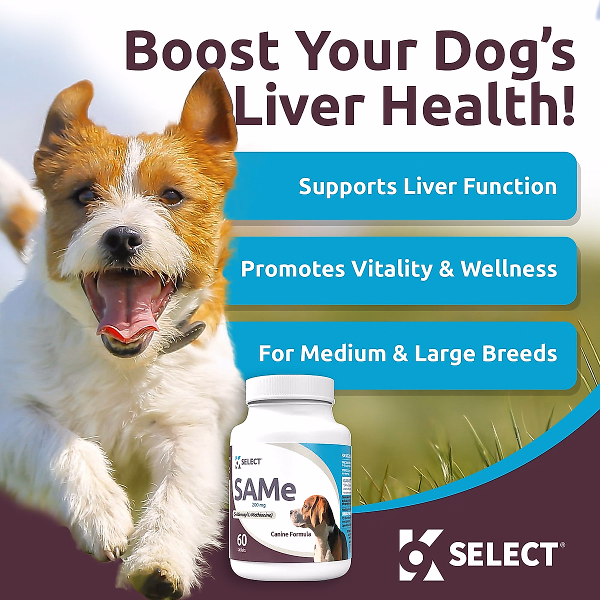 K9 Select SAM-e for Medium and Large Adult Dogs, 60 Tablets, 200mg Active S-Adenosyl L- Methionine, Cognitive and Liver Support Supplement for Dogs, Nutritional Support for Revitalisation