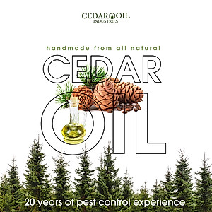 Yard Guard | Non-Toxic, Natural, Ready-to-Use Outdoor Pest Control Spray Safe for Pets & Family | Kills & Repels Fleas, Ticks, Flies, Ants, Mites, Mosquitoes, & More | 32 Fl Oz with Hose End Sprayer