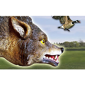 Bird-X 3D Coyote Decoy, Lifelike Predator Replica, Coyote Decoy with Moving Tail and Realistic Markings, Easy to Install, Covers up to 1 Acre of Land, 32" x 8" x 30"