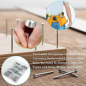 376pcs Hardware Nails Assortment Kit and 8oz Small Claw Hammer,Mini Hammer with Anti-Slip Handle,Nails for Hanging Pictures,Maximum Length 2 Inches Nails,Finishing Nails for Household and DIY