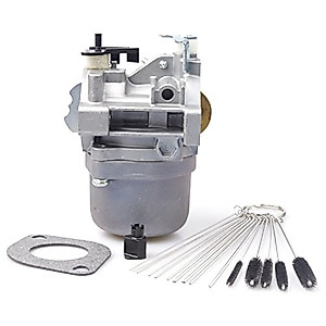Dosens Carburetor Compatible with Briggs & Stratton 799728 494392 494502 286702 286707 LMT 5-4993 Models 286702 286707Carb with Gasket & Carbon Dirt Jet Cleaner Tool Kit