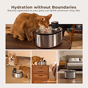 Smartoo Wireless Cat Water Fountain Stainless Steel, 152oz/4.5L Cat Fountain Battery Operated, Cordless Pet Water Fountain for Cats & Dogs with Motion Sensor, Ultra Quiet Pump, Multi-Filtration