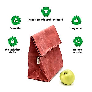 EKOLOJEE Waxed Canvas Lunch Bag | Foldable and Washable Lunch Box for Office, Picnic, Work and Outing | Worthbuy Lunch Bag for Adult Men & Women | Reusable in Zero Waste Packaging | Coral Tree Pink