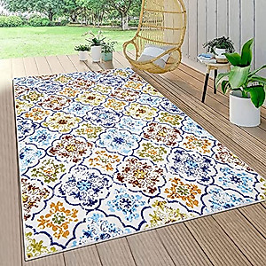 Vaukki Living Room Rug, Floral Medallion Soft Laundry Carpet, Non Slip Entryway Mat, Washable Throw Rug Floor Carpet for Bathroom, Dining Room, Kitchen and Bedroom (4'x6', Multi-Color)
