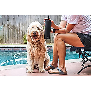 Simple Modern Marvel Insulated Tumbler Cup with Flip Lid and Straw Lid | Gifts for Women Men Reusable Stainless Steel Water Bottle Travel Mug | Classic Collection | 24oz Avengers Shield