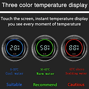 By Luck Temperature Display Water Bottle 16oz - Vacuum Insulated Thermos Bottles, Leakproof, BPA Free, Double Walled Reusable Travel Mug for Keep Hot/Ice Coffee, Tea (Black)