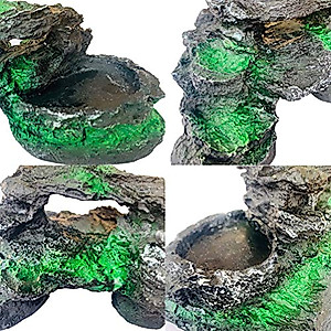 PINVNBY Turtles Dock for Aquarium Reptile Basking Platform for Turtles, Frogs, Newts (1 Pack)