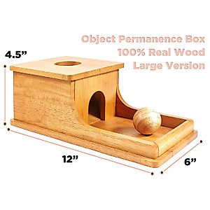Montessori Object Permanence Box - Wooden Ball Drop Toy for Babies - Develops Spatial Awareness & Cognitive Skills - Engaging and Educational Roll and Play Toy up to 1 Year Old Infant