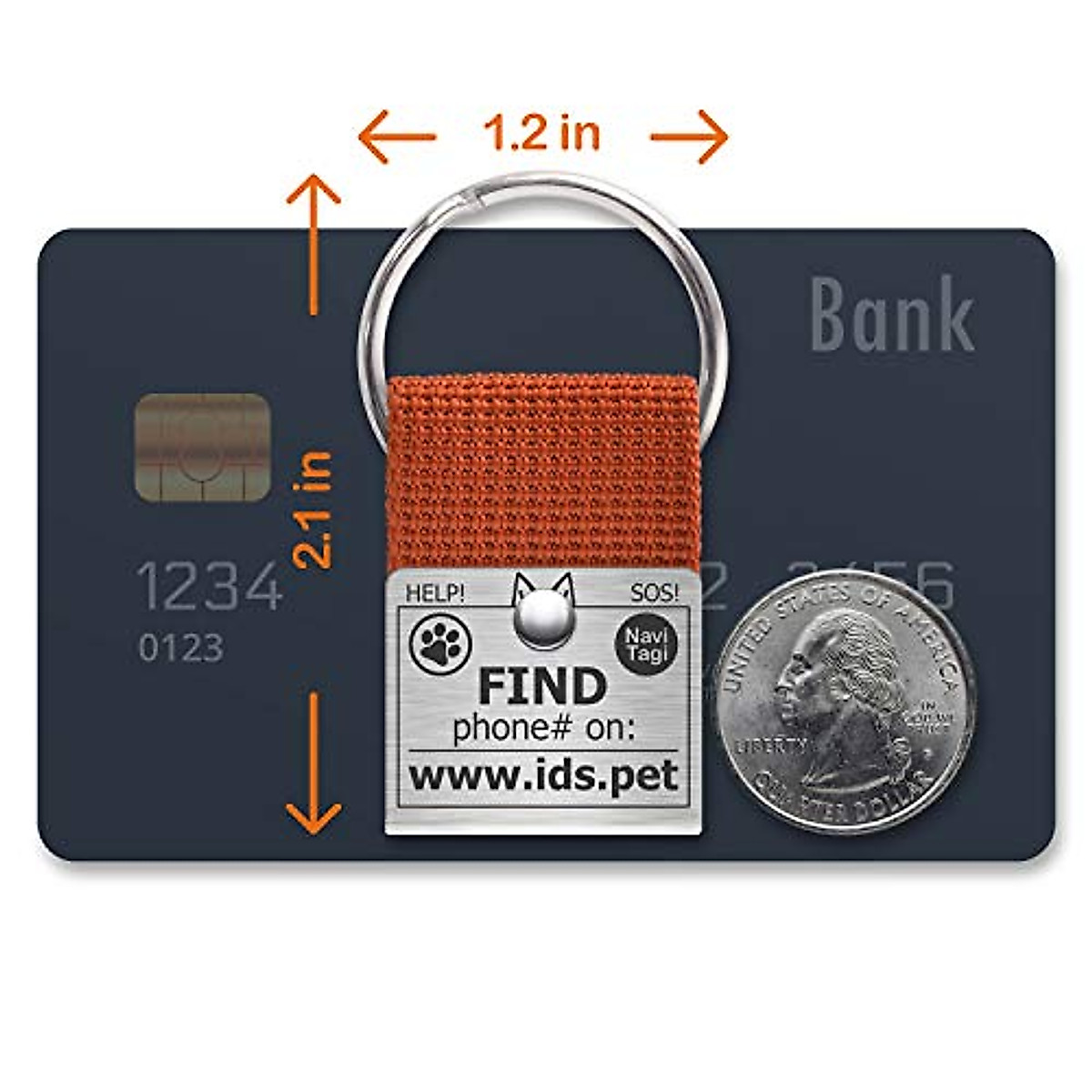 NaviTagi Pet ID Tag for Large and Extra Large Dogs. Personalized w/ID Number. Reliable Design, Stainless Steel Ring. 2 Phones Updatable Online, Name Safe (1 Tag - L)