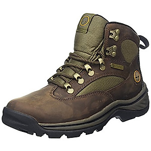 Timberland womens Chocorua Trail With Gore-tex® Membrane hiking boots, Brown, 11 US