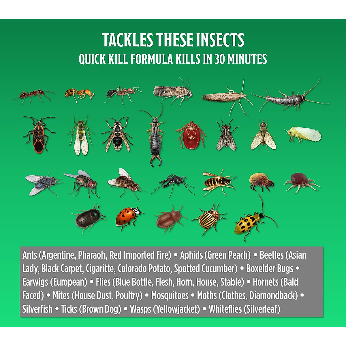 Grandpa Gus's Advanced Natural Pest Control Spray with Clove & Cottonseed Oil - Indoor & Outdoor Insect Killer for Spiders, Ants, Roaches, Earwigs, Bed Bugs & More, Pet-Friendly, 16 fl oz