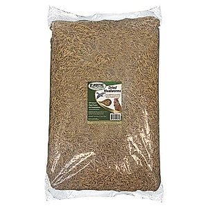 Dried Mealworms - 100% Natural, Non-GMO, High Protein, Bulk Insect Treat for Chicken, Laying Hen, Chick, Wild Bird, Bluebird, Duck, Goose, Turkey, Chickadee, Titmice, Wren, Reptile, Fish (10 lb.)