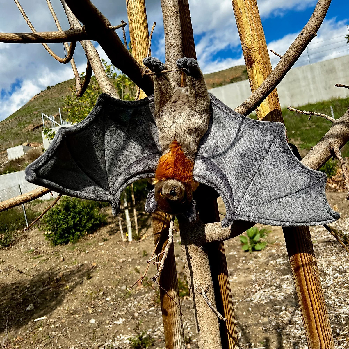 Wildlife Tree 11 Inch Bat Plush - Lifelike Stuffed Animal from The Kingdom Collection, Educational Toy for Nighttime Wildlife Enthusiasts