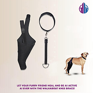 Tkcuteface Dog Knee Brace for ACL, Knee Cap Dislocation, Arthritis - Full Wrap - Easy Adjustable - Extra Support - Reduces Pain and Inflammation – Full Sizes (Medium), Black