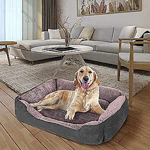CLOUDZONE Dog Bed for Large Dogs, Large Dog Bed Machine Washable Rectangle Breathable Soft Padding with Nonskid Bottom Pet Bed for Medium and Large Dogs or Multiple