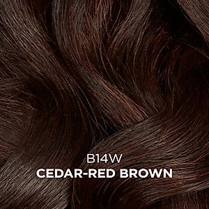 Clairol Professional Beautiful Collection Hair Color, 14W Cedar Red Brown, 3 oz. - Packaging May Vary