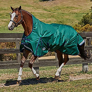 Weatherbeeta ComFiTec Plus Dynamic II High Neck Medium - Hunter/Navy - 75"