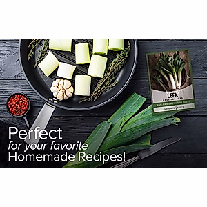 Leek Seeds for Planting Heirloom - American Flag, Non-GMO Vegetable Variety- 1 Gram Seeds Great for Summer Gardens by Gardeners Basics