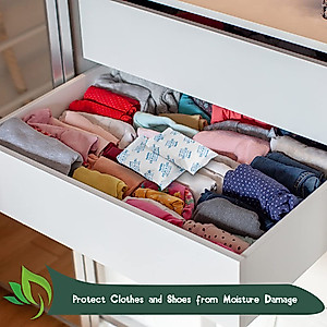 VacYaYa 50G(20Packets) Food Grade Moisture Absorbers Silica Gel Packs Desiccant for Storage,Food Safe Dessicant Silica Gel Packets for Moisture Storage Control