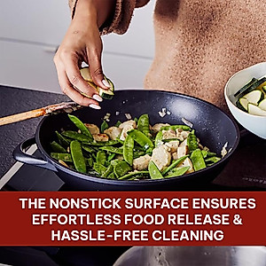 Alva Energy Nonstick Carbon Steel Wok Pan Skillet Non Toxic Pre-Seasoned 12" PFAS, PFOA & PFTE Free, for Cooking Pan Set, Induction Safe, Add to Your Woks and Stir Fry Set Cookware