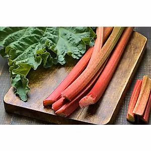 200-Rhubarb Seeds for Planting in Vegetable Garden-Perennial