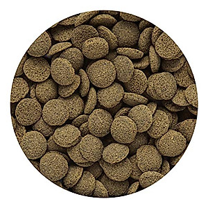 Hikari Usa Inc AHK21566 tropical Sink Wafer 2.2lb