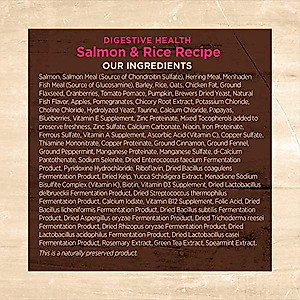 Wellness CORE Digestive Health Salmon & Rice Dry Cat Food, 5 Pound Bag