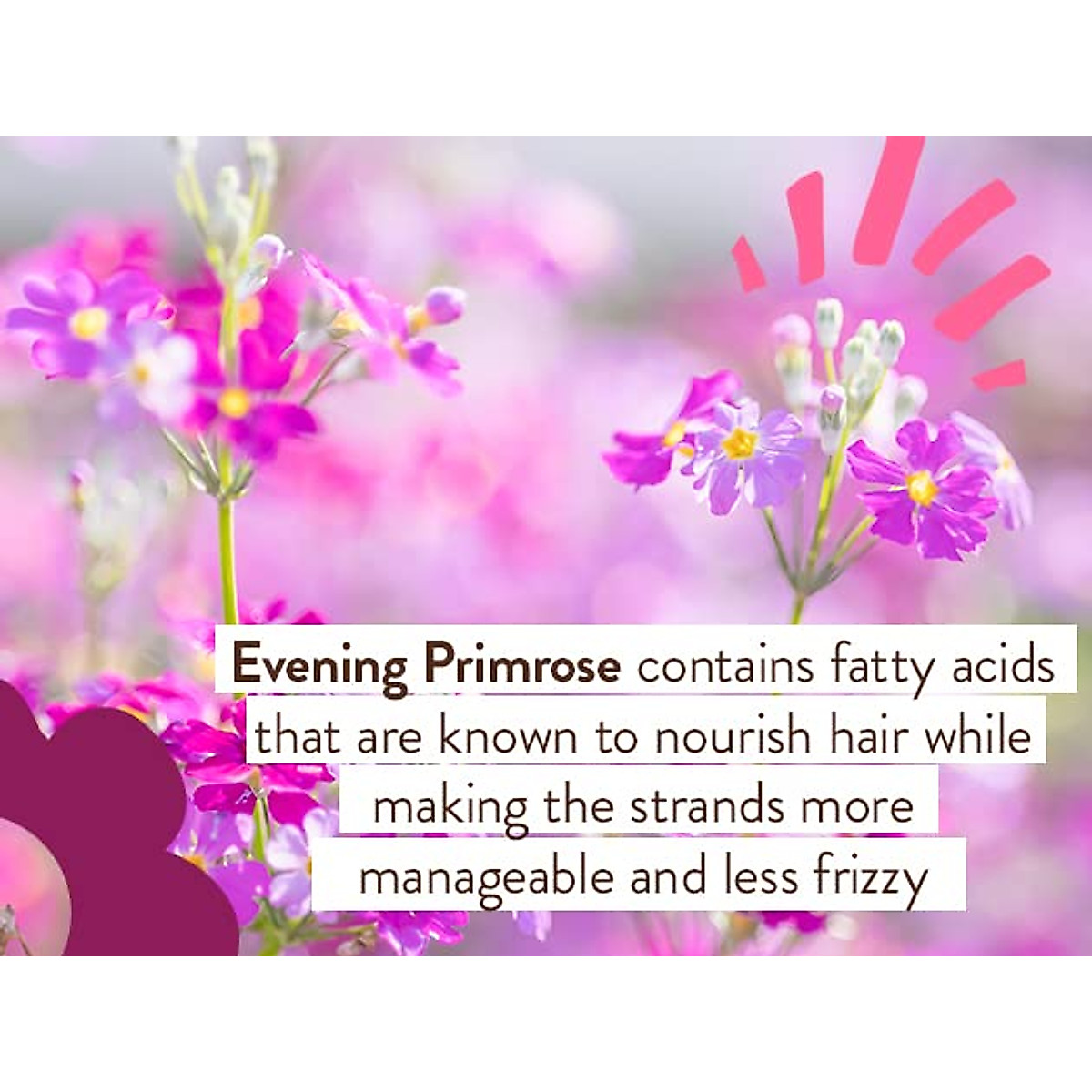 Babo Botanicals Smoothing Berry 2-in-1 Shampoo & Wash - Detangling & Nourishing - Eliminates Frizz & Prevents Static - Evening Primrose Oil - For all ages - Light Berry Fragrance- Vegan