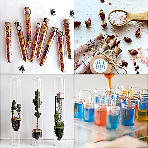 DEPEPE 30pcs 13ml Glass Test Tubes with Cork Stoppers, 15×100mm Small Clear Glass Test Tubes for Scientific Experiments, Plant Propagation and Holiday Gifts