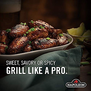 Napoleon 62050 JETFIRE Burner Maintenance Kit Grill Brush, Black and Stainless Steel