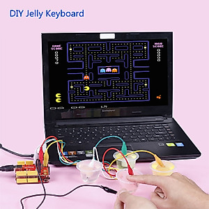 SunFounder FruitKey USB Keyboard DIY Starter Kit Gamepad Control Handle DIY Computer Keyboard, Worked with PC Mac OS X Raspberry Pi for Arduino Uno R3 Leonardo