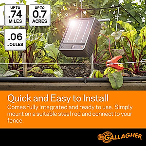 Gallagher S6 Solar Electric Fence Charger | Protect Your Backyard and Pets | Solar Lithium Technology, 0.06 Stored Joule Energizer | Unique Post Mounting System | Portable and Super Tough
