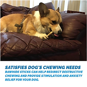 123 Treats Rawhide Skinny Rolls – 5-6" (15 Count) All Natural Dog Roll Treats, Long-Lasting Rawhide Dog Chews, Premium Dog Treats for Healthy Meal | Ideal Sticks for Dogs