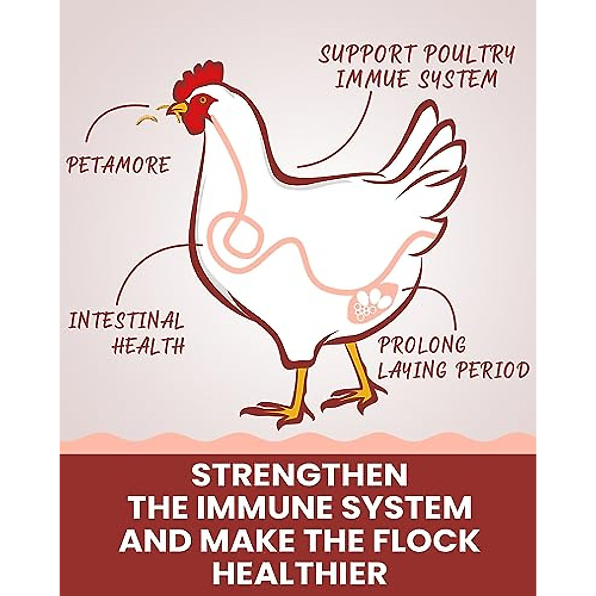 NC Grubsnack 10lbs Dried Mealworms Black Soldier Fly Larvae Mix Treats for Backyard Chickens, Scratch Feed for Backyard Flock Party Poultry Fowl Layers hens with Rich Protein and Calcium