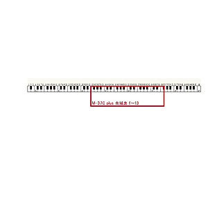 Suzuki Musical Instruments Melodica, red and blue (M-37C plus)