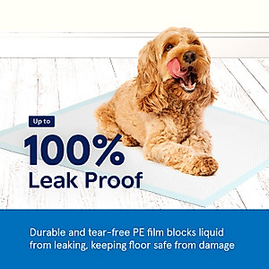 Puppy Pads Pet Pee Pads for Dogs & Puppy Training [100-COUNT] Potty Pads for Dogs 22" x 22" Leak-Proof Dog Pee Pads - Quick-Dry Surface - Heavy Duty Absorbent Disposable Dog Wee Pad Bulk Pack