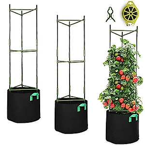 GROWNEER 3 Packs Plant Cages Assembled Tomato Garden Cages Stakes Vegetable Trellis, with 3Pcs 10 Gallon Grow Bags, 9Pcs Clips and 328Ft Twist Tie, for Vertical Climbing Plants