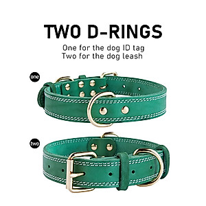 Leather Dog Collar for Medium Dogs with Braided Leather Dog Leash 4 Foot x 5/8"