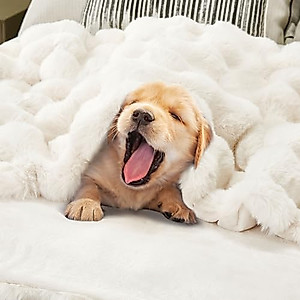 DREAMNINE Decorative Soft Thick Fuzzy Faux Rabbit Fur Throw Blanket for Couch Sofa, Reversible Plush Warm Fleece Fluffy Blanket for Winter, Luxury Cute Cozy Furry Blanket for Bed,50" x 60",Cream White