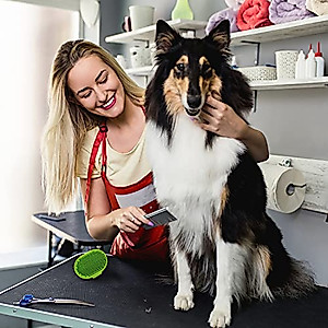 Pet steel comb grooming comb, double-sided stainless steel dog comb, available in 2 different sizes, Lilpep is used for cleaning and massage, grooming, removing tangles, suitable for pet cats and dogs