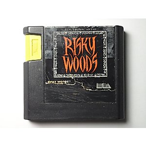 Risky Woods - Sega Genesis