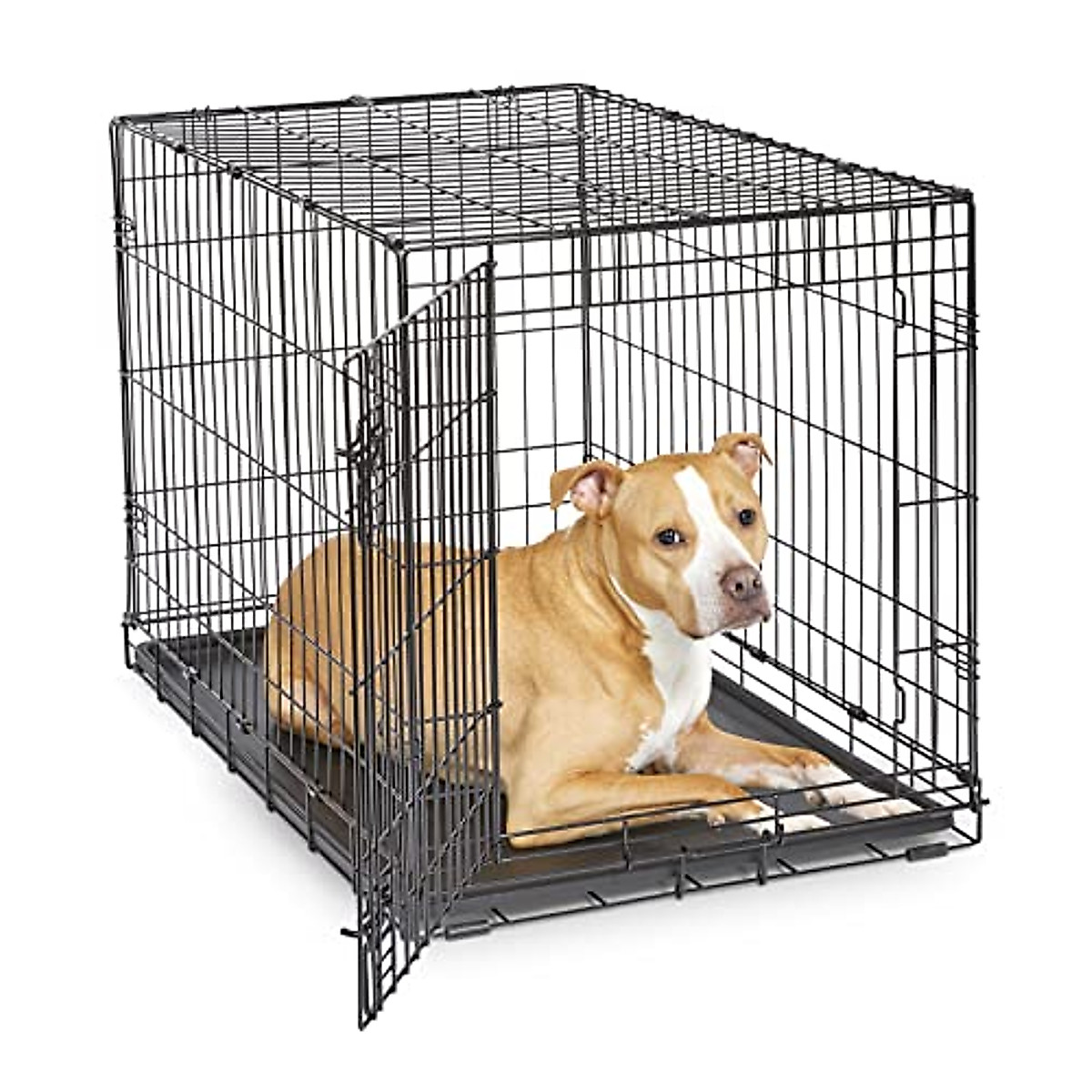 MidWest Homes for Pets Newly Enhanced Single & Double Door New World Dog Crate, Includes Leak-Proof Pan, Floor Protecting Feet, & New Patented Features