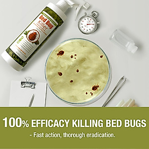 EcoRaider Bed Bug Killer Spray 16 Oz, Green + Non-toxic, 100% Kill + Extended Protection