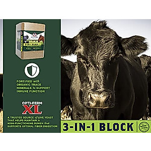3 in 1 Block for Cattle and Horses, 40 lb