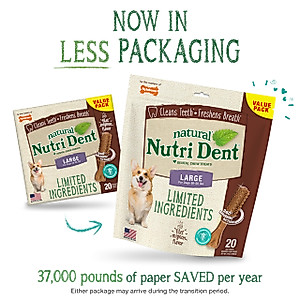 Nylabone Nutri Dent Dog Dental Chews - Natural Dog Teeth Cleaning & Breath Freshener - Dental Treats for Dogs - Filet Mignon Flavor, Large (20 Count)