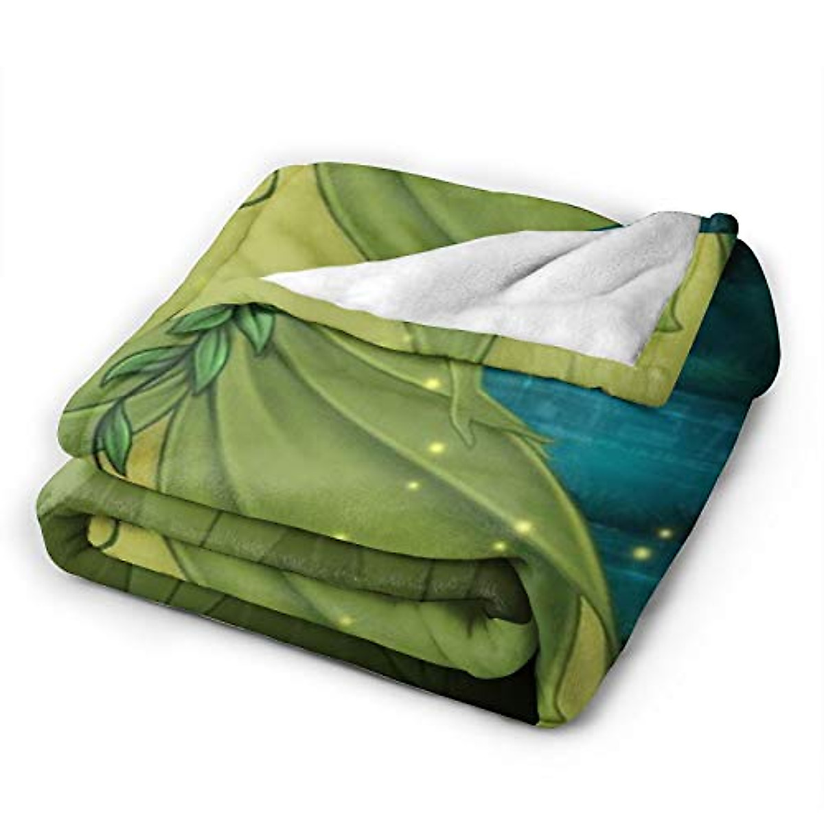 Princess and The Frog Ultra-Soft Micro Fleece Blanket Throw for Bedroom Sofa Comfortable 60in*80in